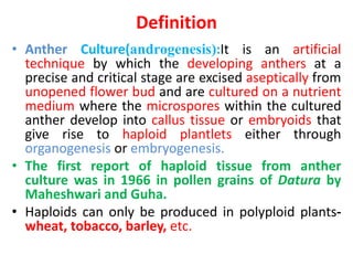 Anther culture | PPTX