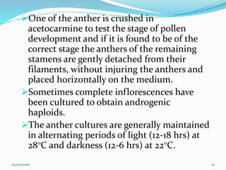 Anther culture haploid plant productionn | PPTX
