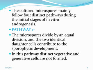 Anther culture haploid plant productionn | PPTX
