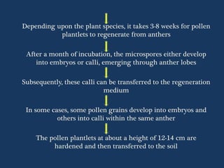 Anther culture | PPTX