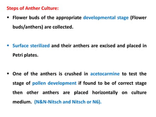 Anther Culture and the world of your life is a | PPTX