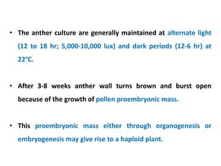 Anther Culture and the world of your life is a | PPTX