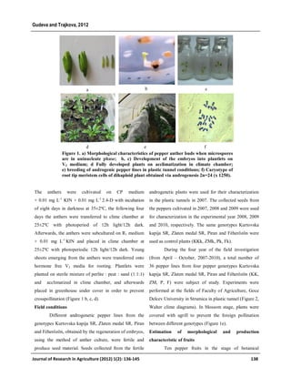 Anther culture of pepper morphological charactersitics of fruits of ...