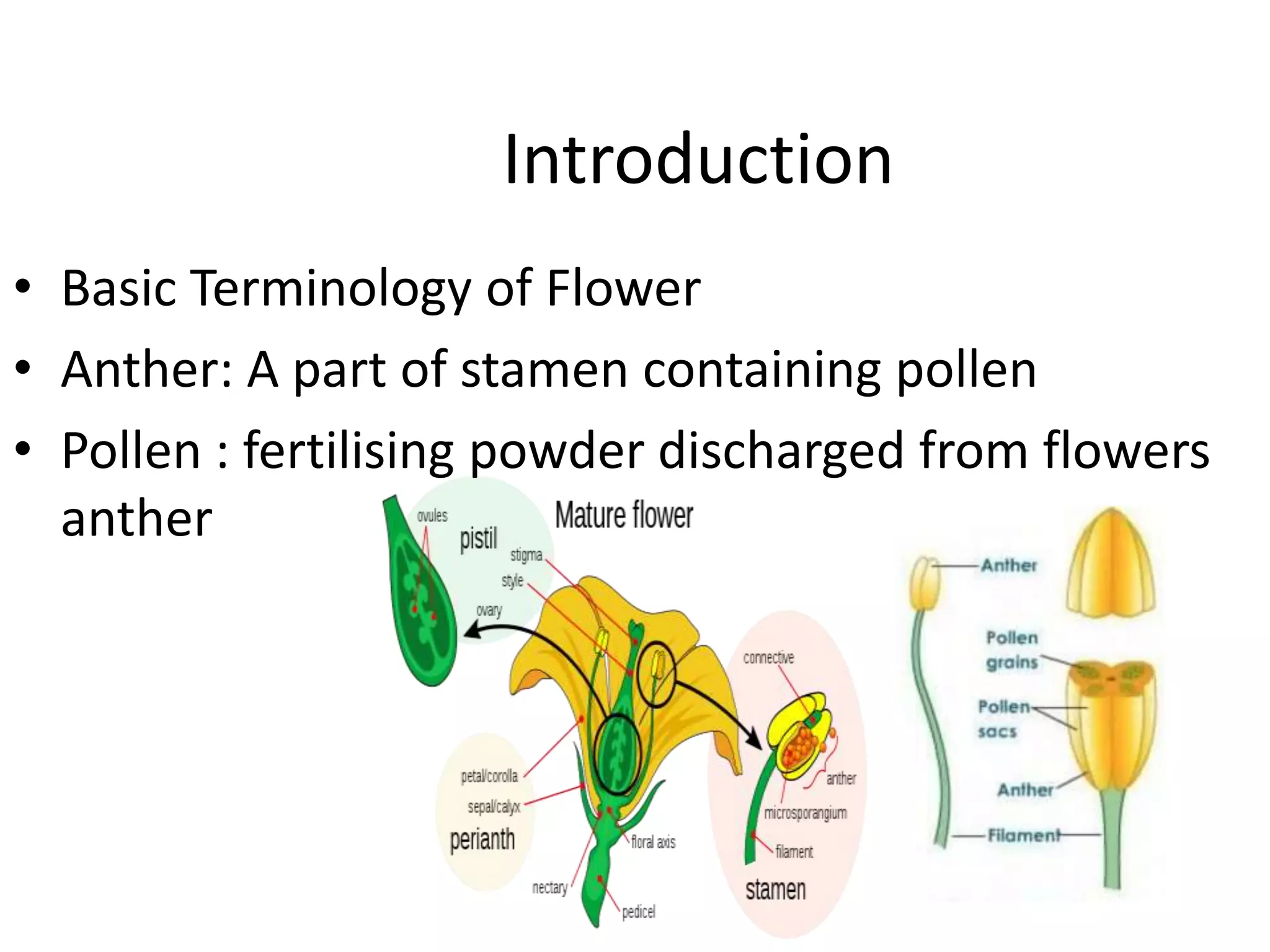 Anther culture and pollen culture | PPTX
