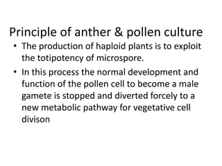 Anther culture and pollen culture | PPTX