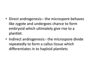 Anther culture and pollen culture | PPTX
