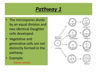 Anther Culture slides.pptx