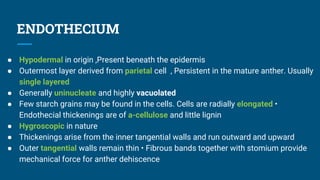 Anther walls and their function | PPTX