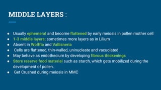 Anther walls and their function | PPTX