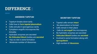 Anther walls and their function | PPTX