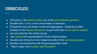 Anther walls and their function | PPTX