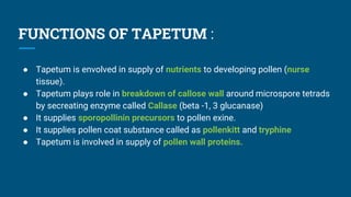 Anther walls and their function | PPTX