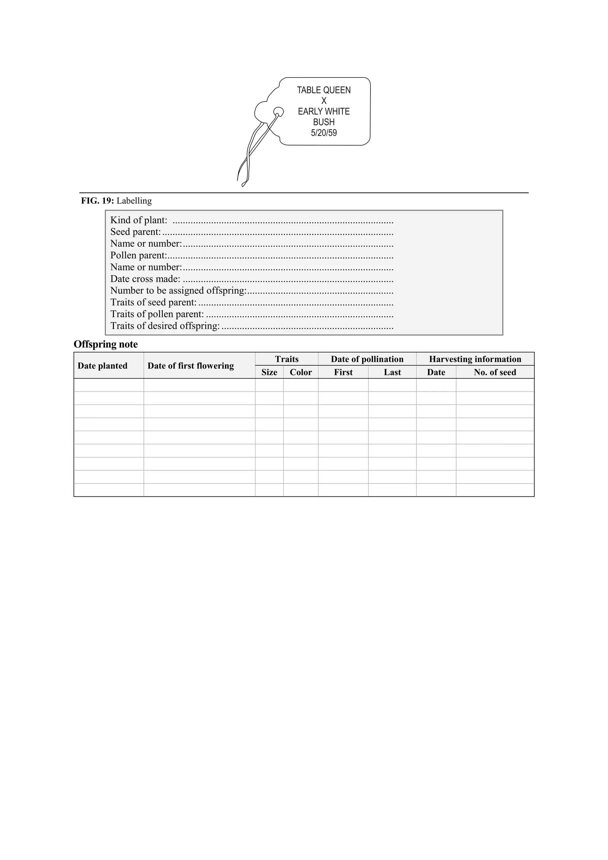 Anthesis and Pollination in crop plants.pdf