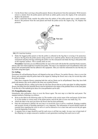 Anthesis and Pollination in crop plants.pdf