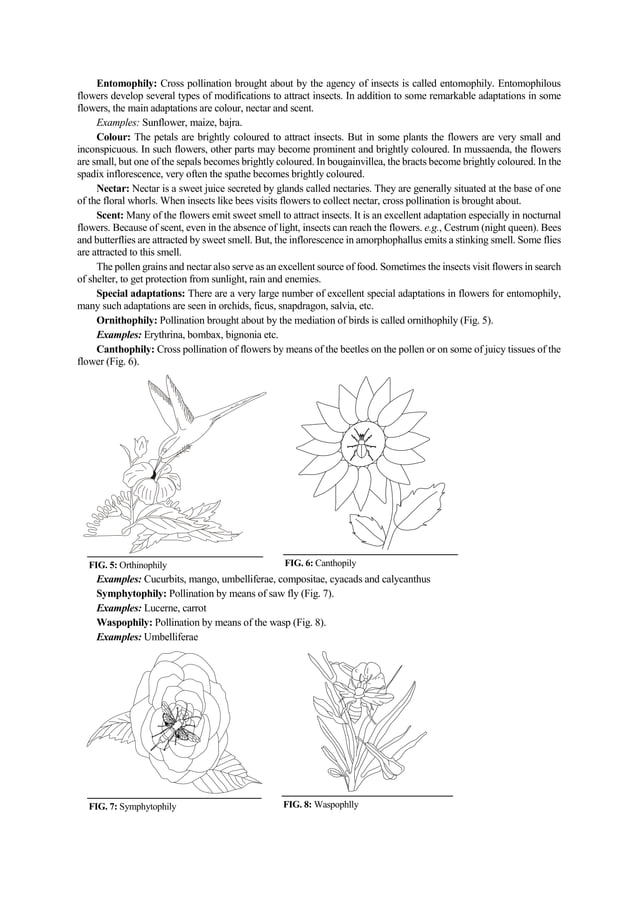 Anthesis and Pollination in crop plants.pdf | Gardening | Home & Garden