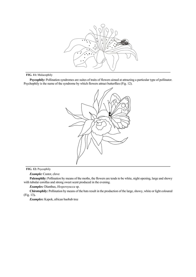 Anthesis and Pollination in crop plants.pdf | Gardening | Home & Garden