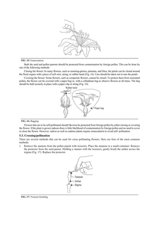 Anthesis and Pollination in crop plants.pdf