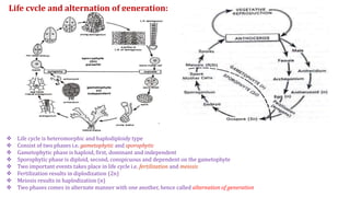 anthoceros-221017081743-fcbnnnbc188d.ppt