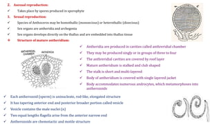 anthoceros-221017081743-fcbnnnbc188d.ppt