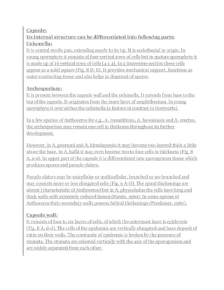 ANTHOCEROS(bryophyta) Faizan botany department GPGC kohat | PDF