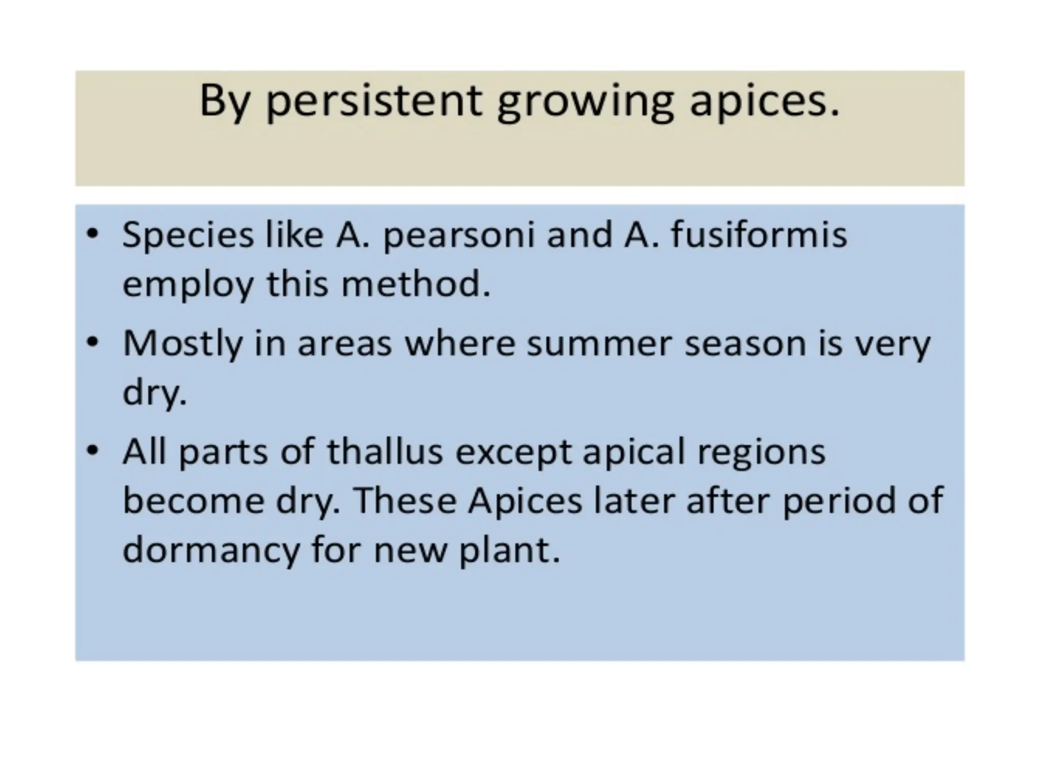 Anthoceros _ morphology, anatomy and reproduction | PDF
