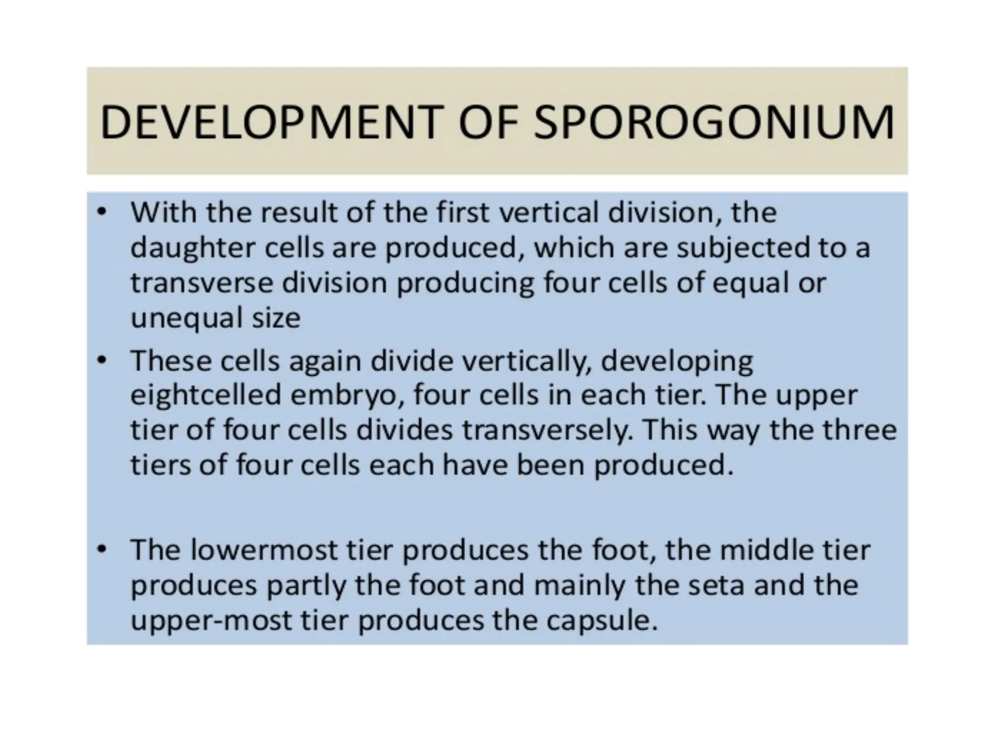 Anthoceros _ morphology, anatomy and reproduction | PDF