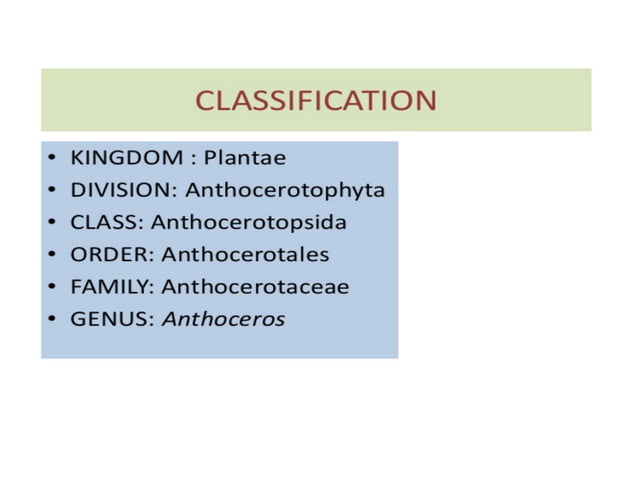 Anthoceros _ morphology, anatomy and reproduction | PDF | Gardening ...