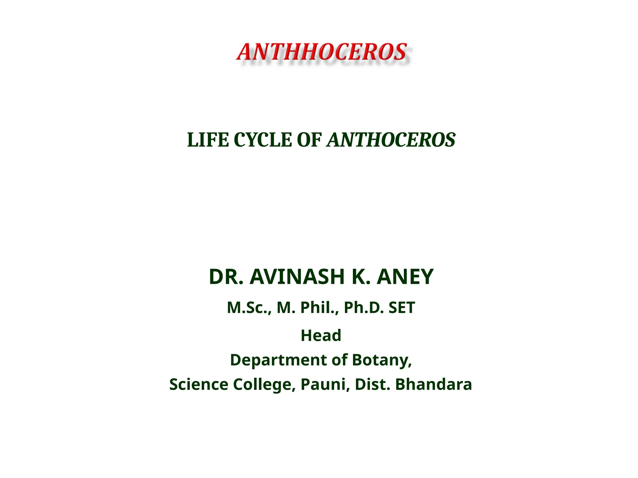 Life cycle of Anthoceros, Bryophyta, member of the class ...