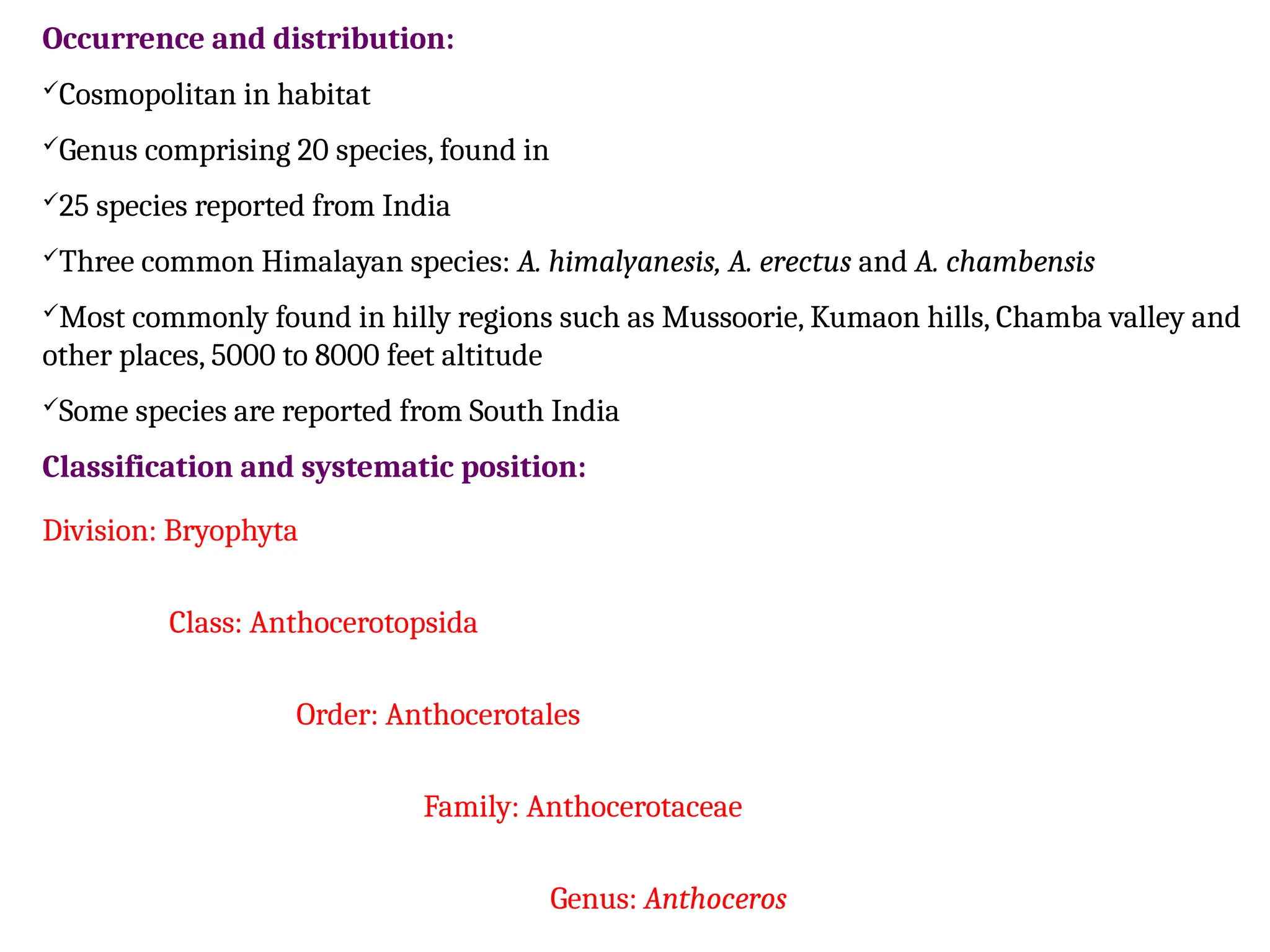 Life cycle of Anthoceros, Bryophyta, member of the class ...