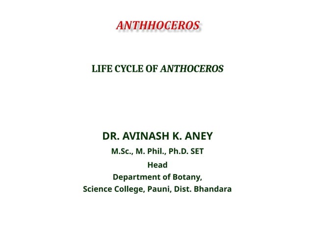 Life cycle of Anthoceros, Bryophyta, member of the class ...