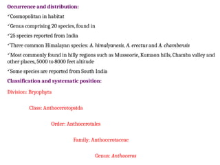 Life cycle of Anthoceros, Bryophyta, member of the class ...