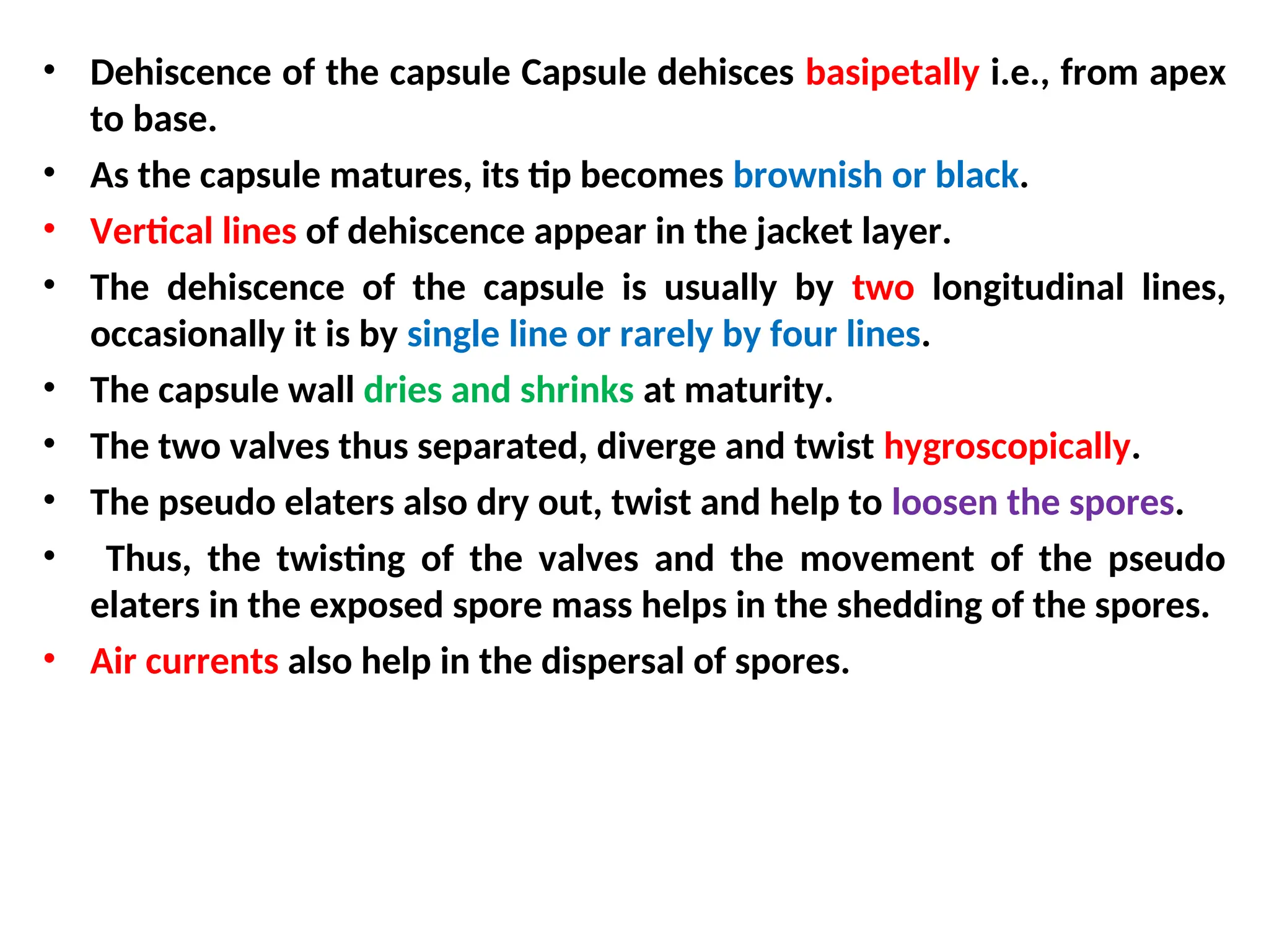 anthoceros structure and types of reproduction | PPT