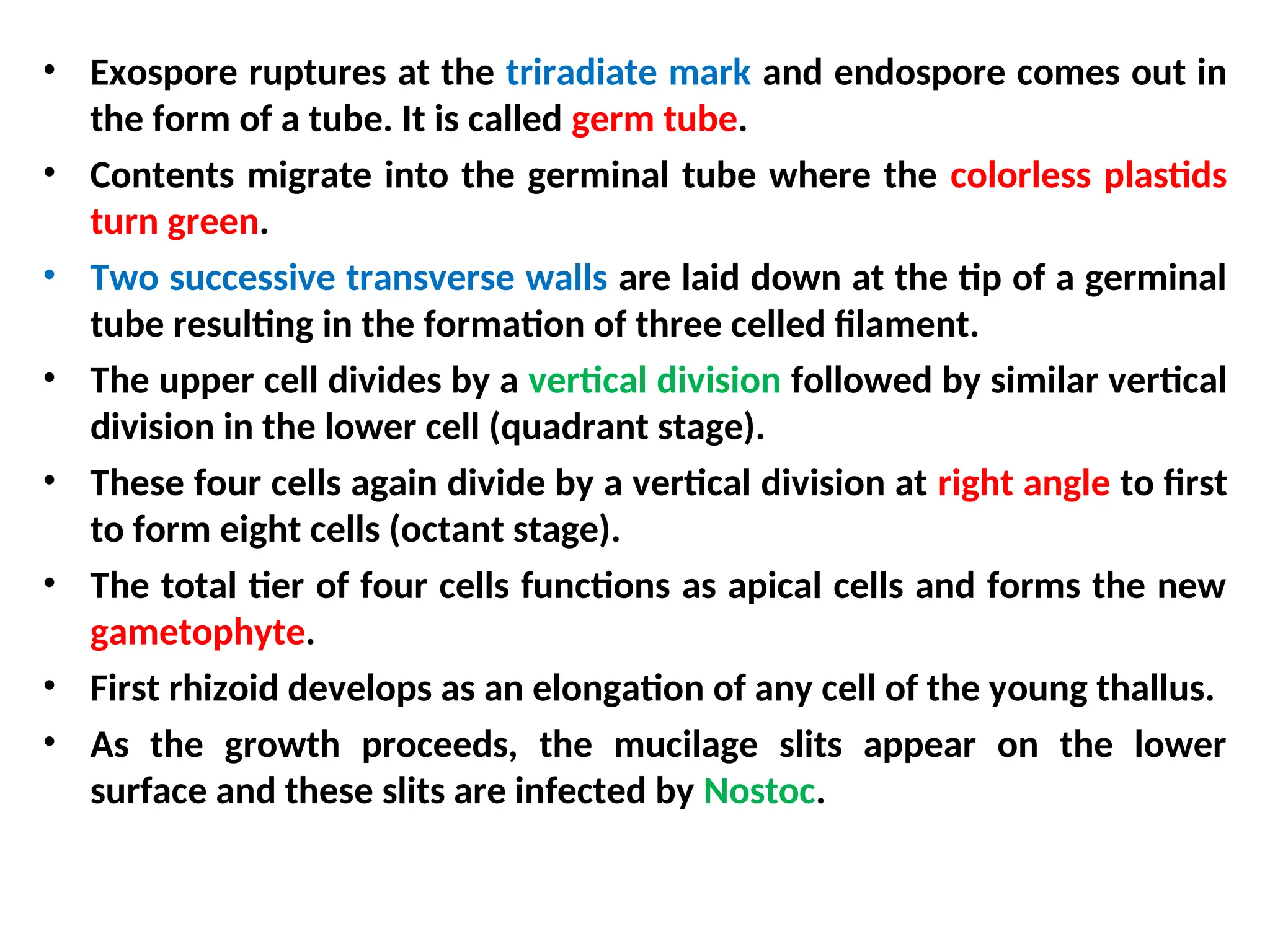 anthoceros structure and types of reproduction | PPT