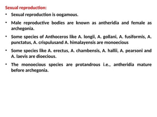 anthoceros structure and types of reproduction | PPT
