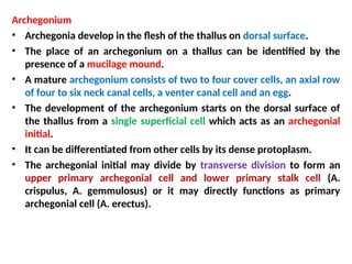 anthoceros structure and types of reproduction | PPT