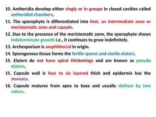 anthoceros structure and types of reproduction | PPT