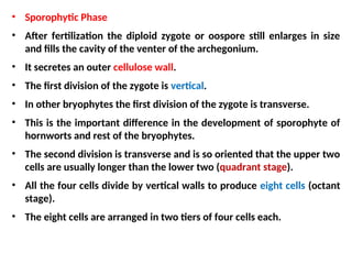 anthoceros structure and types of reproduction | PPT