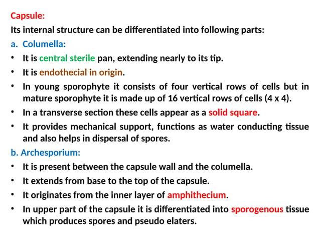 anthoceros structure and types of reproduction | PPT