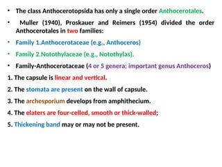 anthoceros structure and types of reproduction | PPT