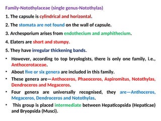 anthoceros structure and types of reproduction | PPT
