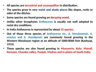 anthoceros structure and types of reproduction | PPT