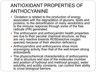 Anthocyanin | PPTX