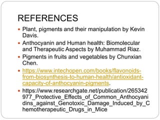Anthocyanin | PPTX
