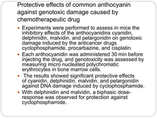 Anthocyanin | PPTX