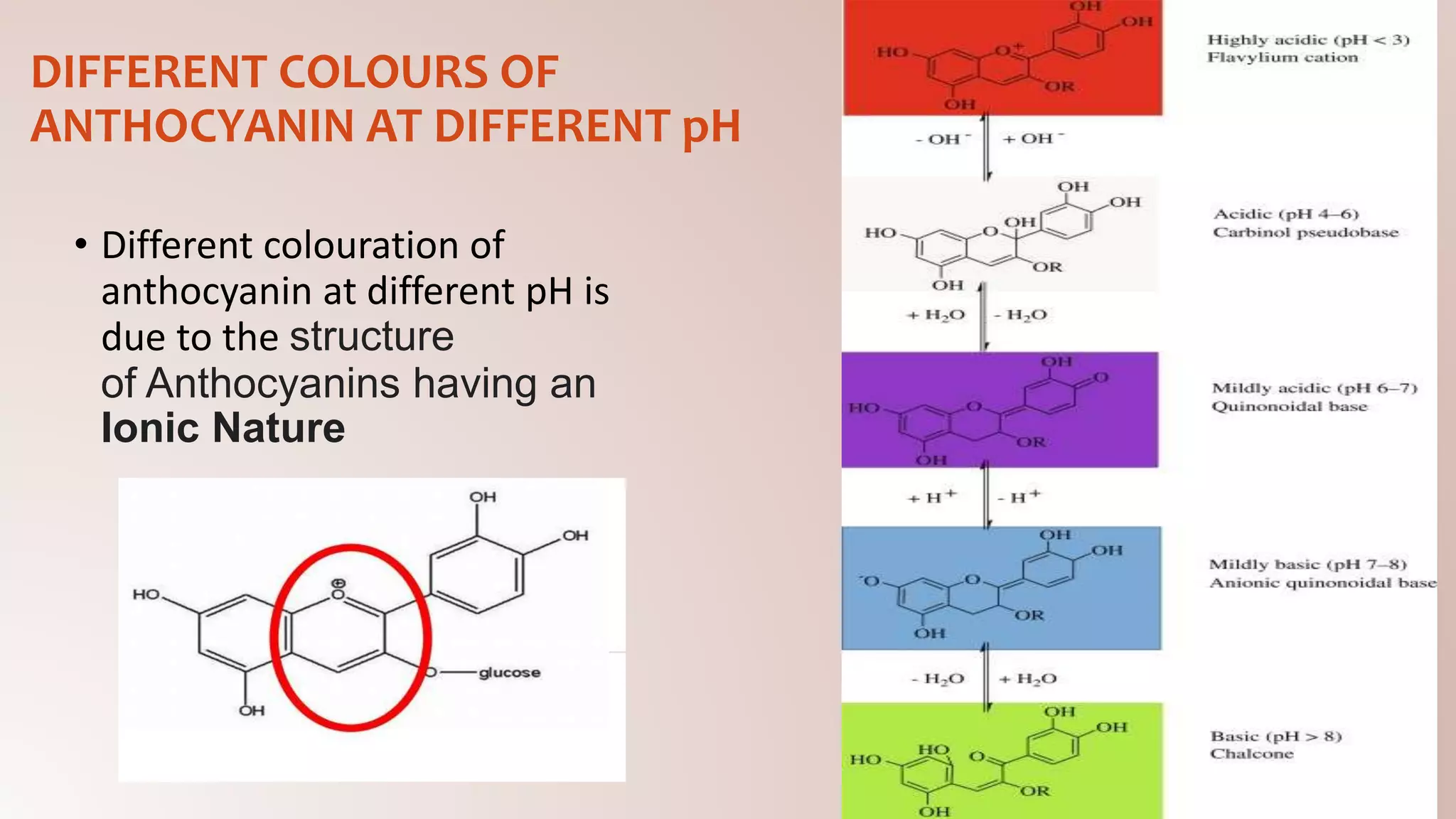 Anthocyanin | PPTX