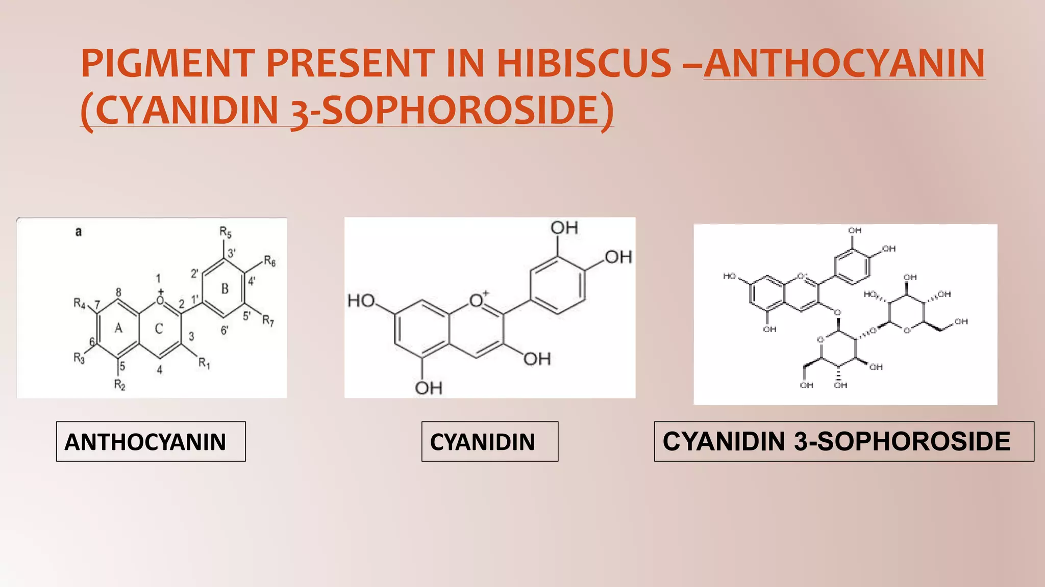 Anthocyanin | PPTX