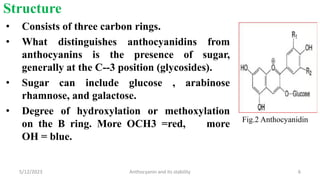 anthocyanin seminar.1.pptx