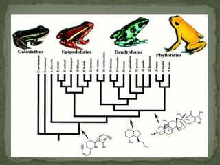 Anthony crasto histrionicotoxin | PPT