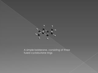 Anthony crasto ladderanes | PPTX | Chemistry | Science