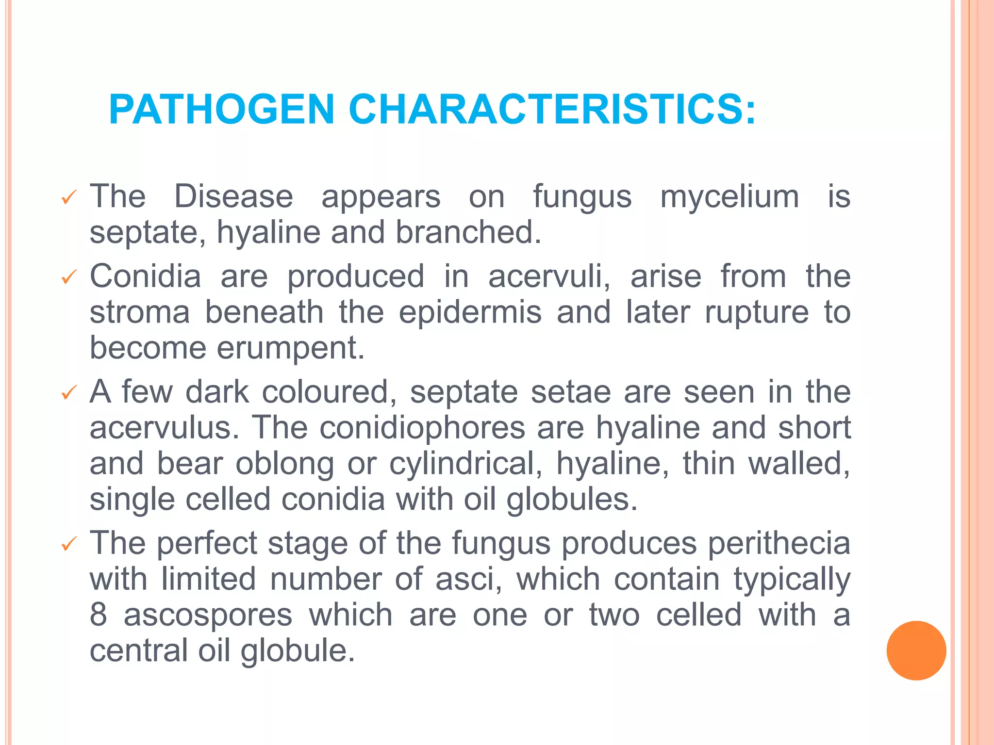 Anthracnose of green gram | PPTX